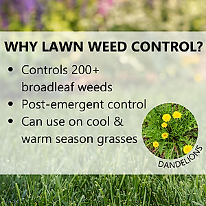 Jonathan Green (12195) Lawn Weed Control - Post Emergent Broadleaf Weed Killer (5,000 Sq. Ft.)