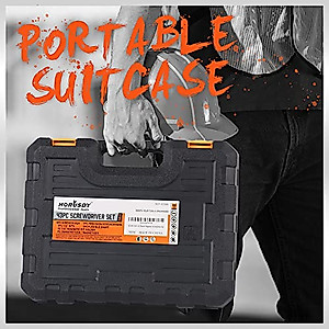 HORUSDY 43-piece Screwdriver Set, Include Phillips, Slotted, Pozidriv, Hex, Torx, and Magnetizer demagnetizer Precision Screwdriver Set for Tools for Men