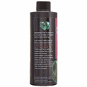 Fiddle Leaf Fig Plant Food 6-2-4, Fast-Acting houseplant Fertilizer for Ficus Lyrata and Ficus Audrey, High Concentrate Balance Nutrient Plant Food