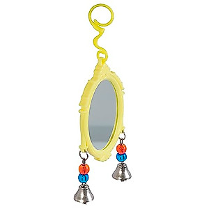 JW Pet Company Activitoy Fancy Mirror Small Bird Toy, Colors Vary