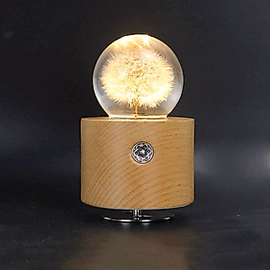 ZLBYB LED Musical Snow Globe The Lovers Shape Light Lamp Music Box Night Light Desktop Ornament Home Decor