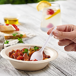 Pantry Value [400 Count] Lightweight White Plastic Tea Spoons - Disposable Cutlery for Parties, Events, and Dinner (Formerly Comfy Package)