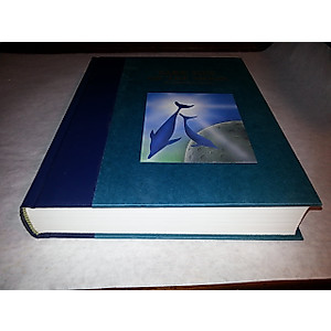 Dark Side of the Moon