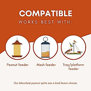 prdseed Fresh Shelled Peanuts for Birds & Squirrels - Raw Wildlife Peanuts, No Mess Bird Seed, No Waste Bird Seed for Wild Birds & Backyard Squirrels (10lbs)