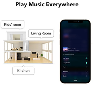 WiiM Mini AirPlay2 Wireless Audio Streamer, Multiroom Stereo, Preamplifier, Works with Alexa and Siri Voice Assistants, Stream Hi-Res Audio from Spotify, Amazon Music and More