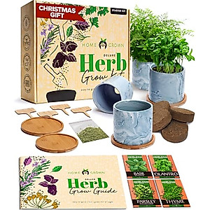 4 Herb Garden Starter Kit Indoor: Complete Grow Kit w/Deluxe Ceramic Pots & Soil - DIY Herb Seeds to Plant, Window Garden Home Growing Kit - Best Plant Gifts for Women, Unique Gifts for Cooks