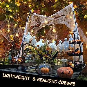 Spider Webs Halloween Decorations,300Sqft Spider Webs with30 Fake Spiders,Stretchable DIY Cobwebs for Indoor/Outdoor Scary Atmosphere,Outside Garden Window Yard Tree home office Parties,Haunted Houses