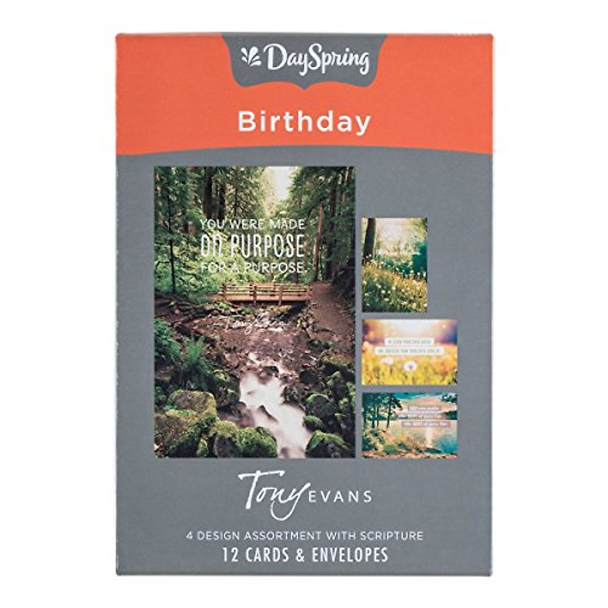 DaySpring Birthday - Inspirational Boxed Cards - Tony Evans - 18562