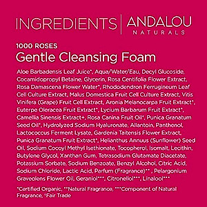 Andalou Naturals 1000 ROSES® Gentle Cleansing Foam