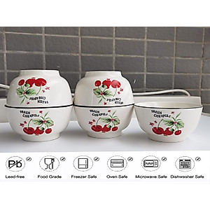 5 Pack Ceramic Bowls With Cherry Pattern, 4.64" x 2.36" Porcelain Bowls, Salad Bowls Ramen Bowls for Kitchen Restaurant Serving Bowls, Large Capacity Ceramic Bowls, Dishwasher Safe & Microwave Safe