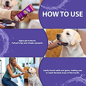 Dental Fresh Enzymatic Gel Dog Tooth Brushing Kit, Includes Triflex Toothbrush – Dog Toothbrush and Toothpaste for Dog Teeth Cleaning