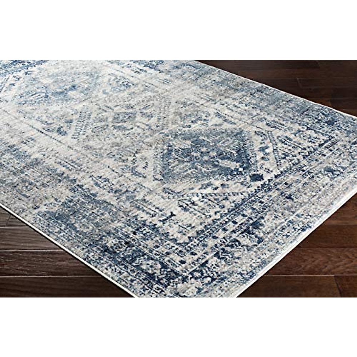Artistic Weavers Desta Vintage Oriental Area Rug,6'7" x 9',Blue/White
