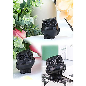 QINJIEJIE Black Obsidian Crystals Owl Figurines Natural Carved Stone Decor Polished Gemstone Statue Home Desk Gem Guardian Sculpture Room House Office Decorations Spiritual Owl Gifts for Women Men