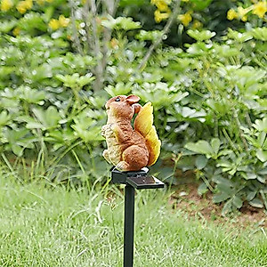 Juliahestia Squirrel Garden Decor Solar Lights Outdoor Stakes Decorative Statue Patio Yard Lawn Porch Housewarming Cute Animal Figurines Ornaments Pathway Resin Waterproof