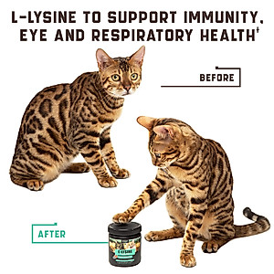 Lysine Cat Treats - Cat Immune Support - Help Improve Respiratory Health and Eye Function - Enriched with Vitamin B, Calcium, Protein