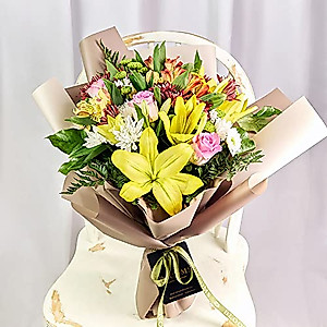 QAUZUY GARDEN 25 Mixed Peruvian Lily (Lily of The Incas/Princess Lily) Alstroemeria Seeds Perennial Delicate Flowers for Bouquets Flower Arrangements Attract Pollinators