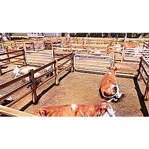 Real Farm - PlayStation 4