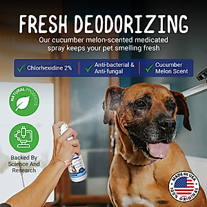 Alpha Dog Series Chlorhexidine Spray (8 oz) – Easy-Apply Skin Relief – Soothes Hot Spots, Rashes in Dogs & Cats - Itch Relief – Lightly Scented