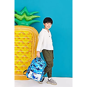 Kids Backpacks for Boys Elementary School Backpack Book Bags for Boys