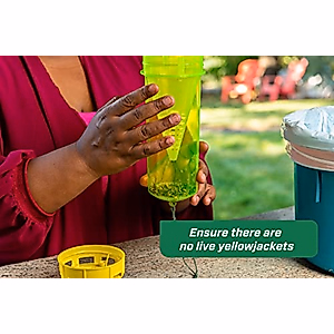 RESCUE! Yellowjacket Attractant – 4 Week Supply - 2 Pack