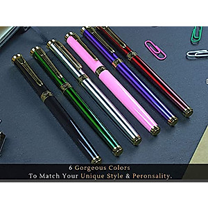 Dryden Designs Fine Nib Fountain Pen - Includes 24 Ink Cartridges - 12 Black and 12 Blue - Silver - Smooth Elegant Writing with Fine Nib and Ink Converters