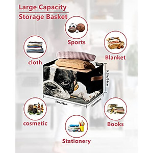 Storage Organizer Bins Set of 1 Storage Baskets for Clothes on Shelves With Handles Lovely French Bulldog Animal Photography Black Rectangular Fabric Laundry Baskets for Organizing