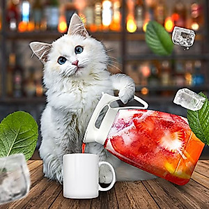 Pratico Kitchen SnapPour Water, Juice, and Beverage Pitcher, Made in Japan, 3.2 qt, 102 oz, White