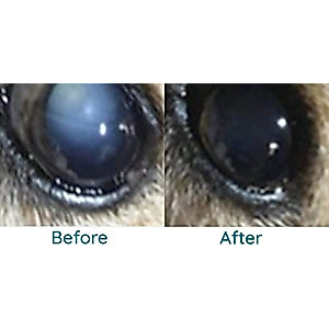 LumenPro Pet Eye Drops - Advanced Vision Support Eye Drops for Dogs with Cataracts - Lanosterol Eye Drops with Antioxidants +NAC Solution - Cataract Drops for Dogs, Cats, Horses, Rabbit (10ml)