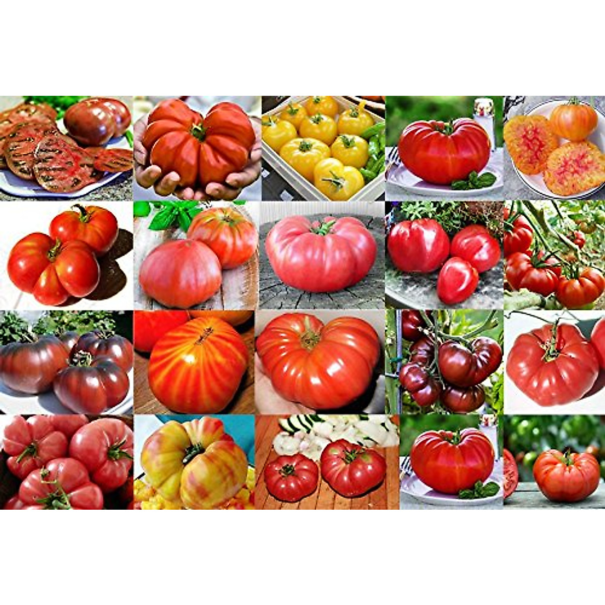 Mixed Seeds! 30 Giant Tomato Seeds, Mix of 19 Varieties, Heirloom Non-GMO, Brandywine Black, Red, Yellow & Pink, Mr. Stripey, Old German, Black Krim, from USA