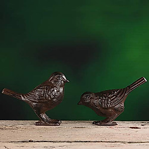 BRASSTAR Rustic Cast Iron Bird Statue Farmhouse Home Garden Decor Collectible Figurines Gift Replica Rust Color a Pair of Birds PTZD053