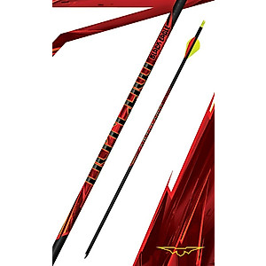 Black Eagle Outlaw 300 Spine Fletched Arrows, (.005, 6-Pack)