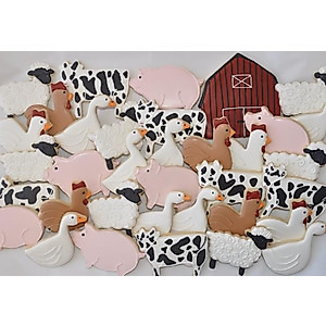 Canadian Goose Bird 5 Inch Cookie Cutter from The Cookie Cutter Shop – Tin Plated Steel Cookie Cutter – Made in the USA