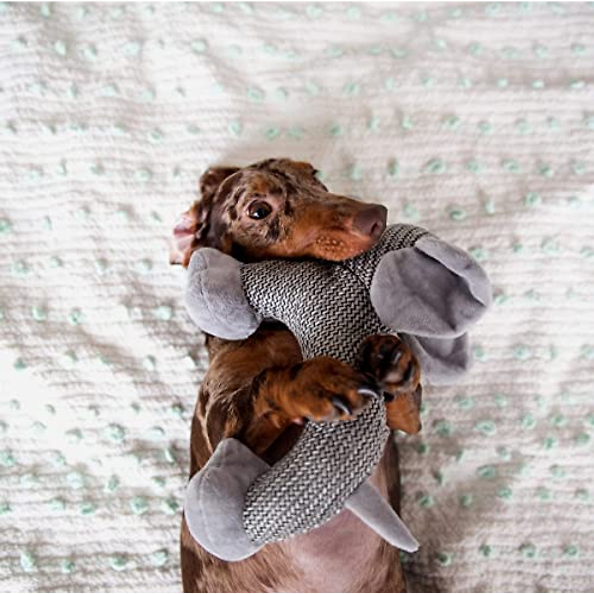 Lily Anne Boutique Woven Cute Dog Toys - Monkey Dog Toy, Elephant Dog Toy, or Sheep Dog Toy - Single or 2 Pack Squeaker Dog Toy - Soft Plush Toys for Light Biters - Dog Chew Toys (Elephant, 2-Pack)