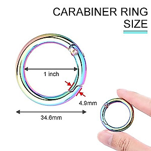 10Pack 1Inch Metal Spring O Rings Clip Keychain, Round Carabiner Clips Keyrings Snap Hook Buckle, Purse Shoulder Bag Chain Rings Clip Replacement Paracord Keychain Lanyard Leather DIY Crafts (Rainbow)
