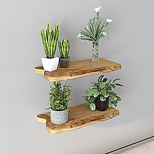 WELLAND 16” Cedar Natural Edge Floating Shelf Set of 2