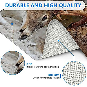 PAUSEBOLL Deer Moose Bath Rugs Machine Washable Bathroom Decor Non-Slip Doormat Water Absorbent Welcome Mat for Kitchen Bedroom Floors 16" X 24"