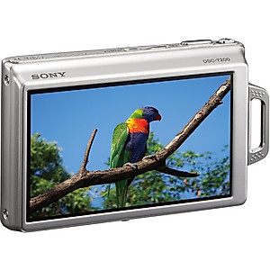 Sony Cybershot DSC-T200 8.1MP Digital Camera with 5x Optical Zoom with Super Steady Shot Image Stabilization (Silver)