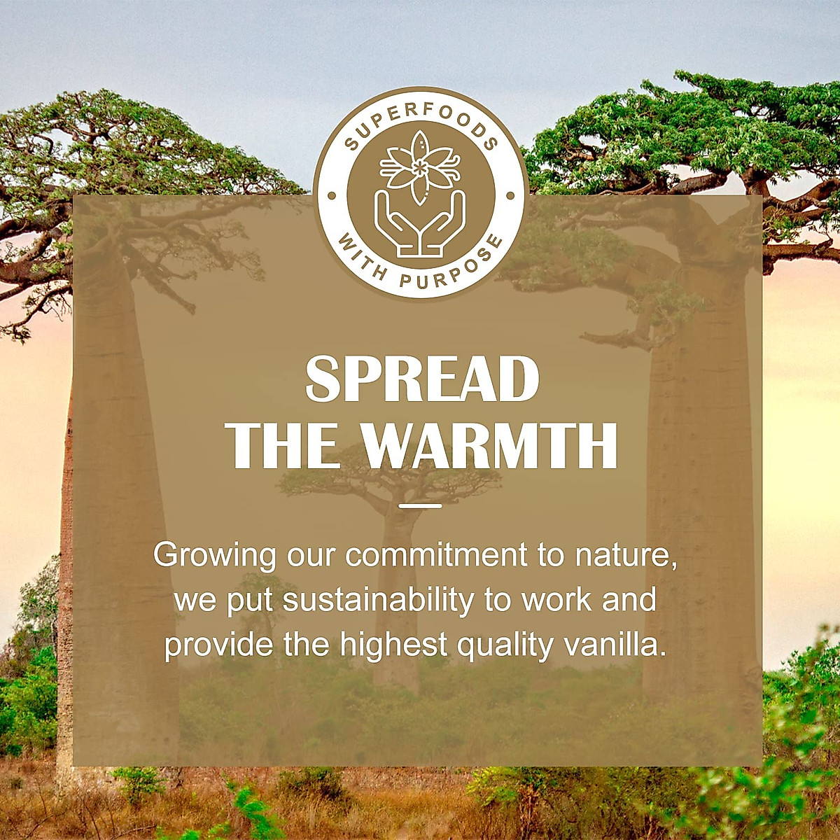 GRELIM Vanilla Bean Powder, 100% Pure Ground Madagascar Vanilla Powder Gluten-Free No Fillers or Additives Great for Baking, Coffee, Smoothies 2.11 Oz (60 g)