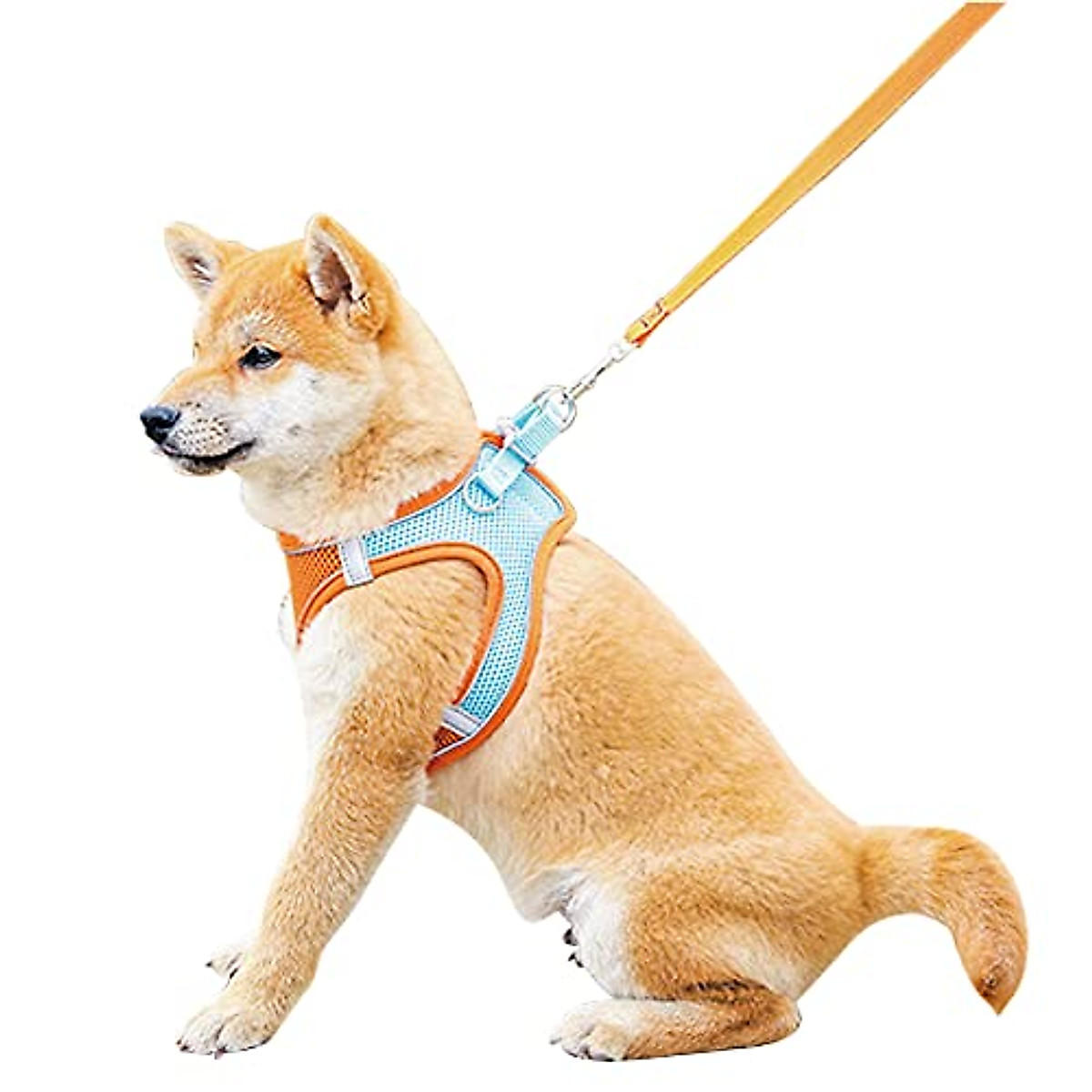 Richcatty 2.0 Step in Air Dog Harness with 59“ Pet Leash for Dogs&Cats-Super Breathable Stable and Lightweight No Feeling Design More Comfortable (Blend Orange, S(Pet Weight 8.8-12.1Lb))