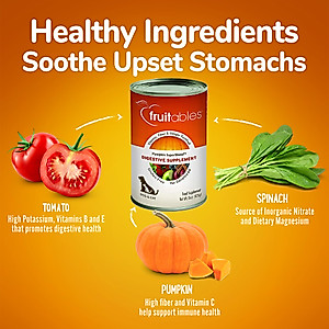 Fruitables Pumpkin Digestive Supplement – Made in USA Canned Pumpkin for Dogs & Cats - Pumpkin Puree Dog - Dog Digestive Support - 15 oz (Pack of 4)