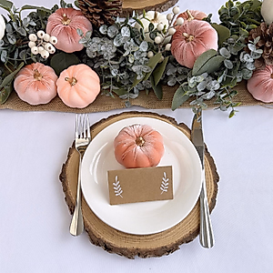 Winlyn 12 Pcs Small Rustic Faux Velvet Pumpkins Decorative Blush Coral Pink Peach Ivory Fabric Pumpkins Foam Pumpkins 3" for Fall Wedding Bbay Shower Thanksgiving Halloween Table Centerpiece Décor