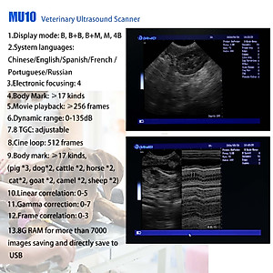DAWEIanimed Veterinary Ultrasound Scanner Laptop Ultrasound Machine with 3.5Mhz Convex Probe for Animals Dog,Goat,Pig,Sheep use