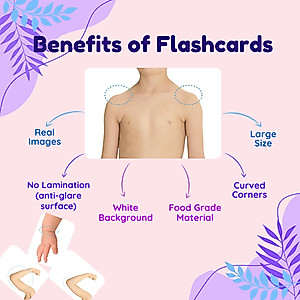 My First Body Parts Flash Cards for Toddlers - 24 Cards - 48 Sides, Montessori, Educational, Kindergarten, Preschool Learning Activities, Gifts for Kids, 1-4 Years babies, Fun & Educational Flashcards