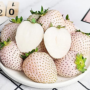 800+ Strawberry Seeds 400 White 300 Red and 100 Yellow Strawberry Seeds Mixed for Planting