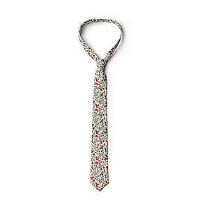 Lunarable Men's Tie, Colorful Garden Hummingbirds, 3.7", Pink Green