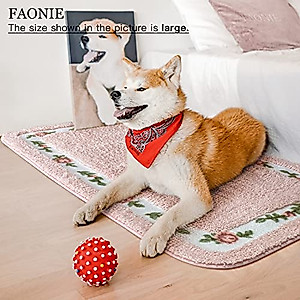 FAONIE Pretty Floral Rural Style Romantic Rose Flower Rug Shaggy Area Rugs Soft Non-Slip Doormat Floor Mat Bath Mat Bathroom Shower Rug Bedroom Living Room Carpet (Nice Pink, M)