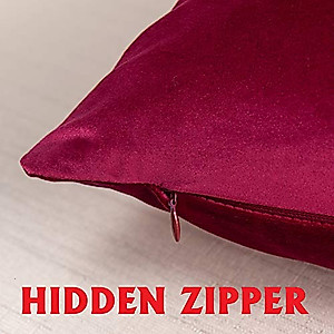 Elegant Comfort Pack of 2, Velvet Soft Solid Decorative Square Throw Pillow Covers Set Cushion Case for Sofa Bedroom Car, 20 x 20, Burgundy