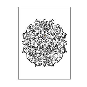 125 Mandalas: An Adult Coloring Book Featuring 125 of the World’s Most Beautiful Mandalas for Stress Relief and Relaxation (Mandala Coloring Books)