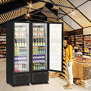 ACONEE Refrigerator Commercial Glass Door Display Upright Freezer, Black