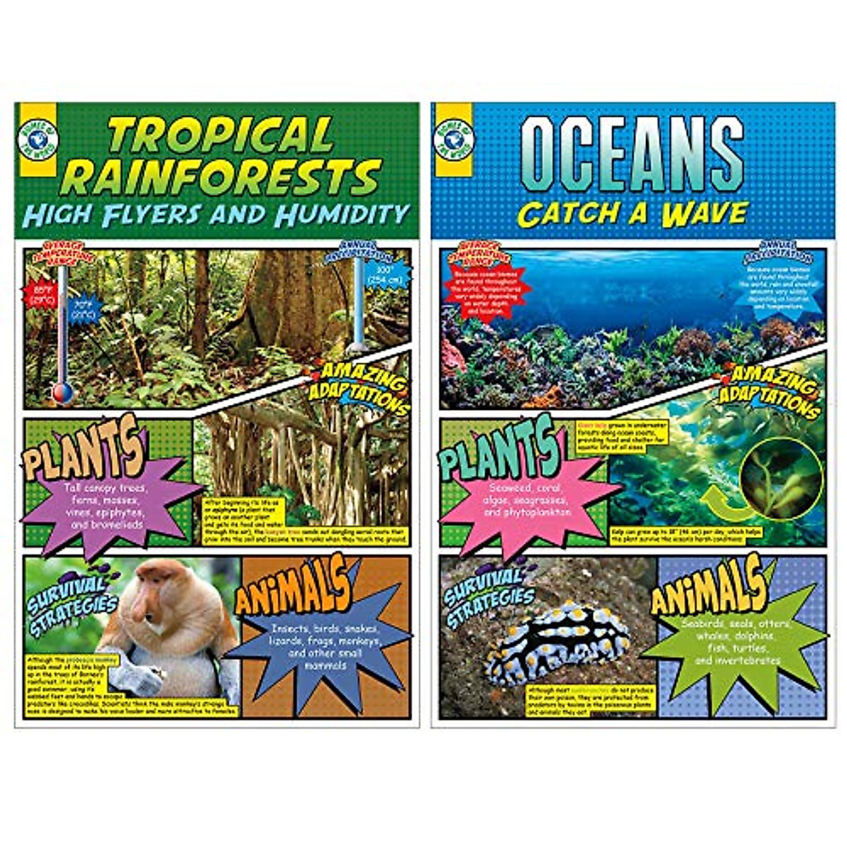 NORTH STAR TEACHER RESOURCE Biomes Bulletin Board Set